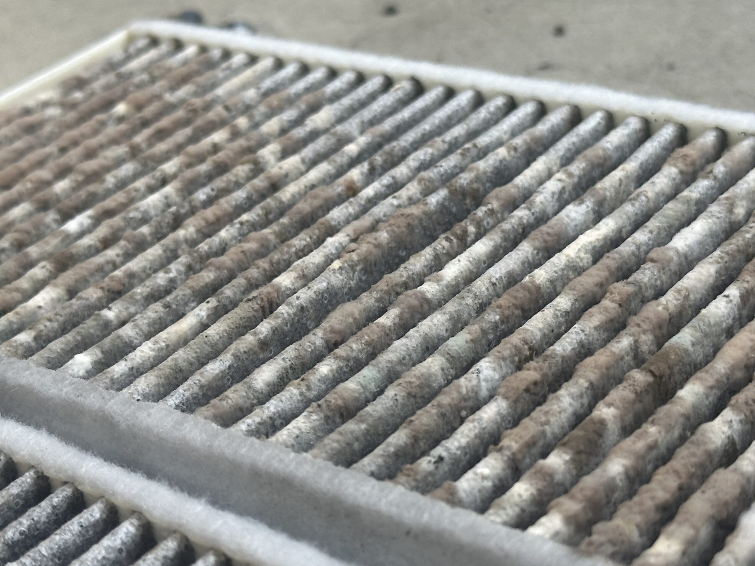 FF系BMW、F56系MINIの方は必見！エアコンフィルターにカビが発生する可能性が。 - ALLZU Motorenbau : アルツモトーレンバウ